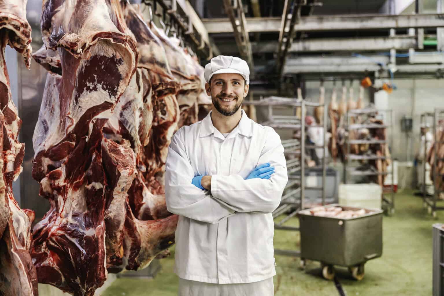 Queensland's Finest Beef Producers Honoured in 2023 MSA Excellence in ...