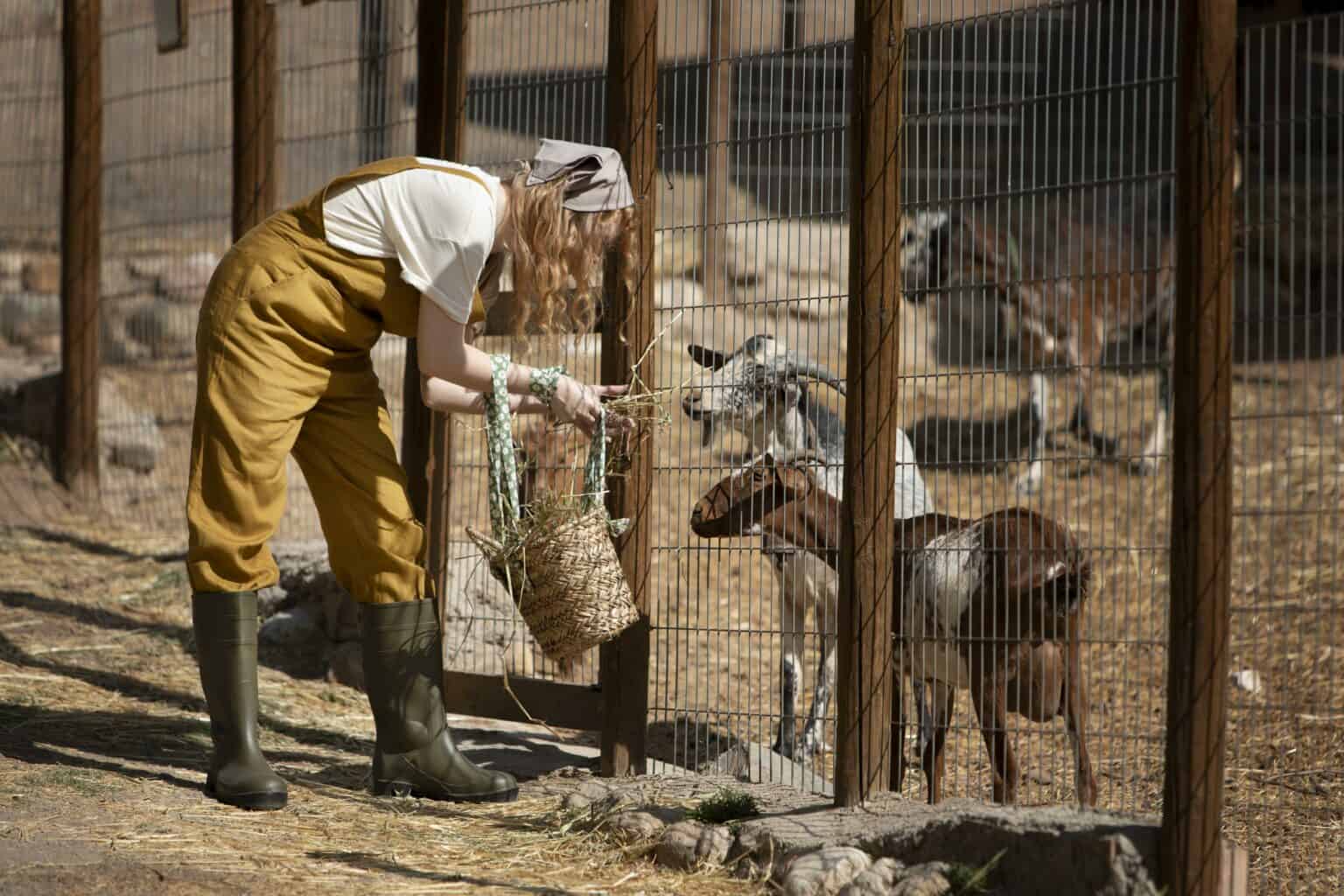 Vietnam Introduces New Animal Welfare Standards, Aligning with ...