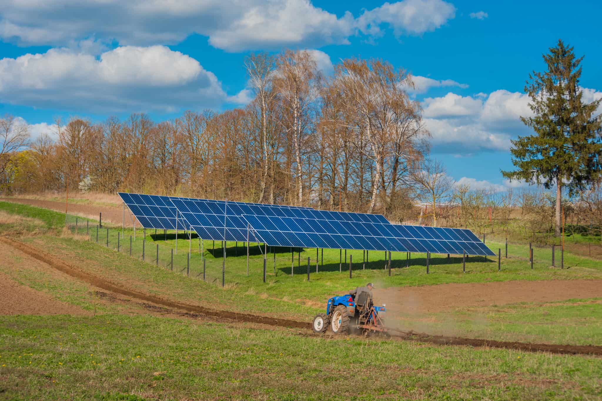Exploring Agrivoltaics: Integrating Solar Panels with Agriculture in ...
