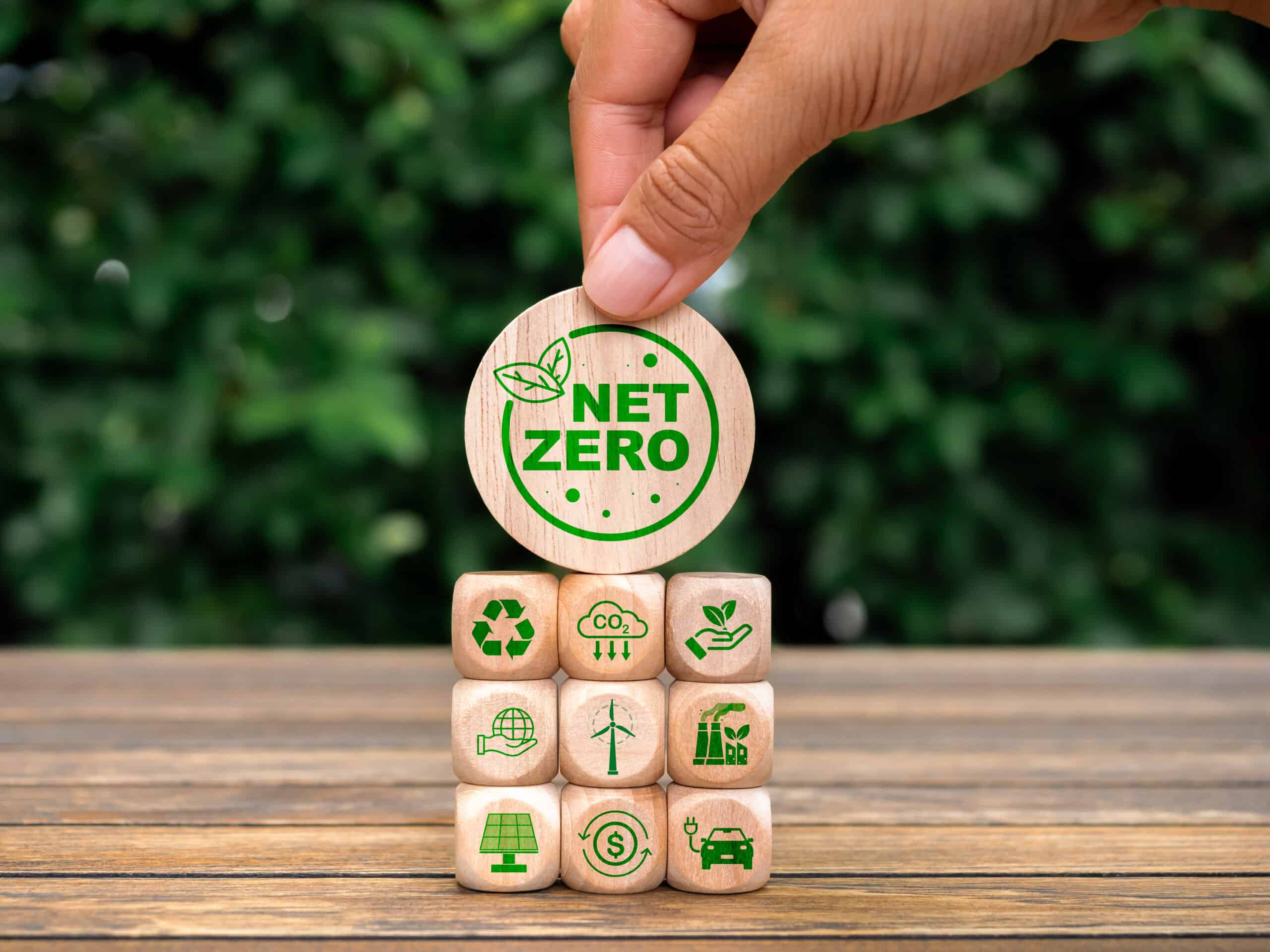 Cattle Australia Advocates for a Balanced Approach to Achieving 2050 ...