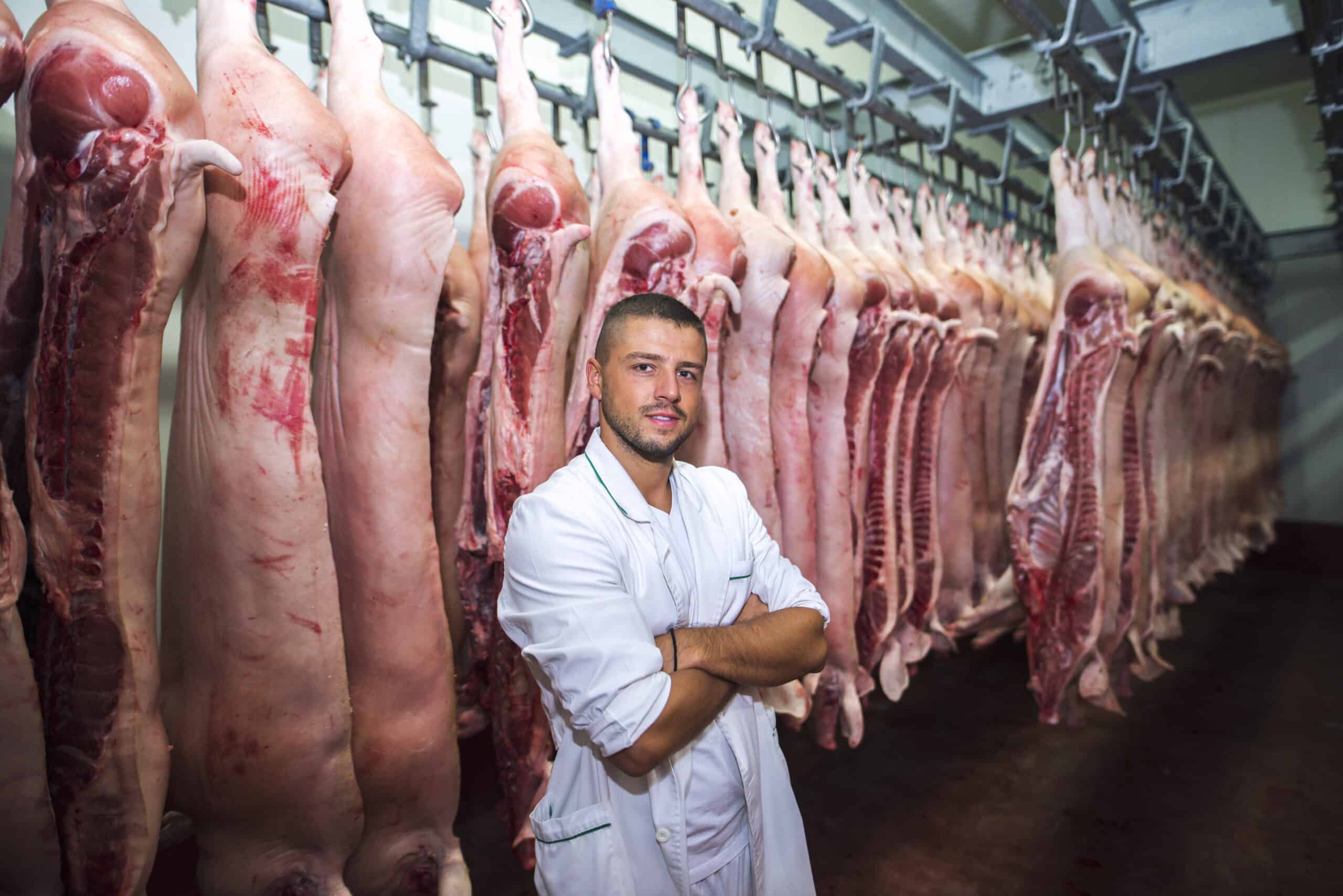 UK Pork Offal Market Expands into Mexico - Triton News