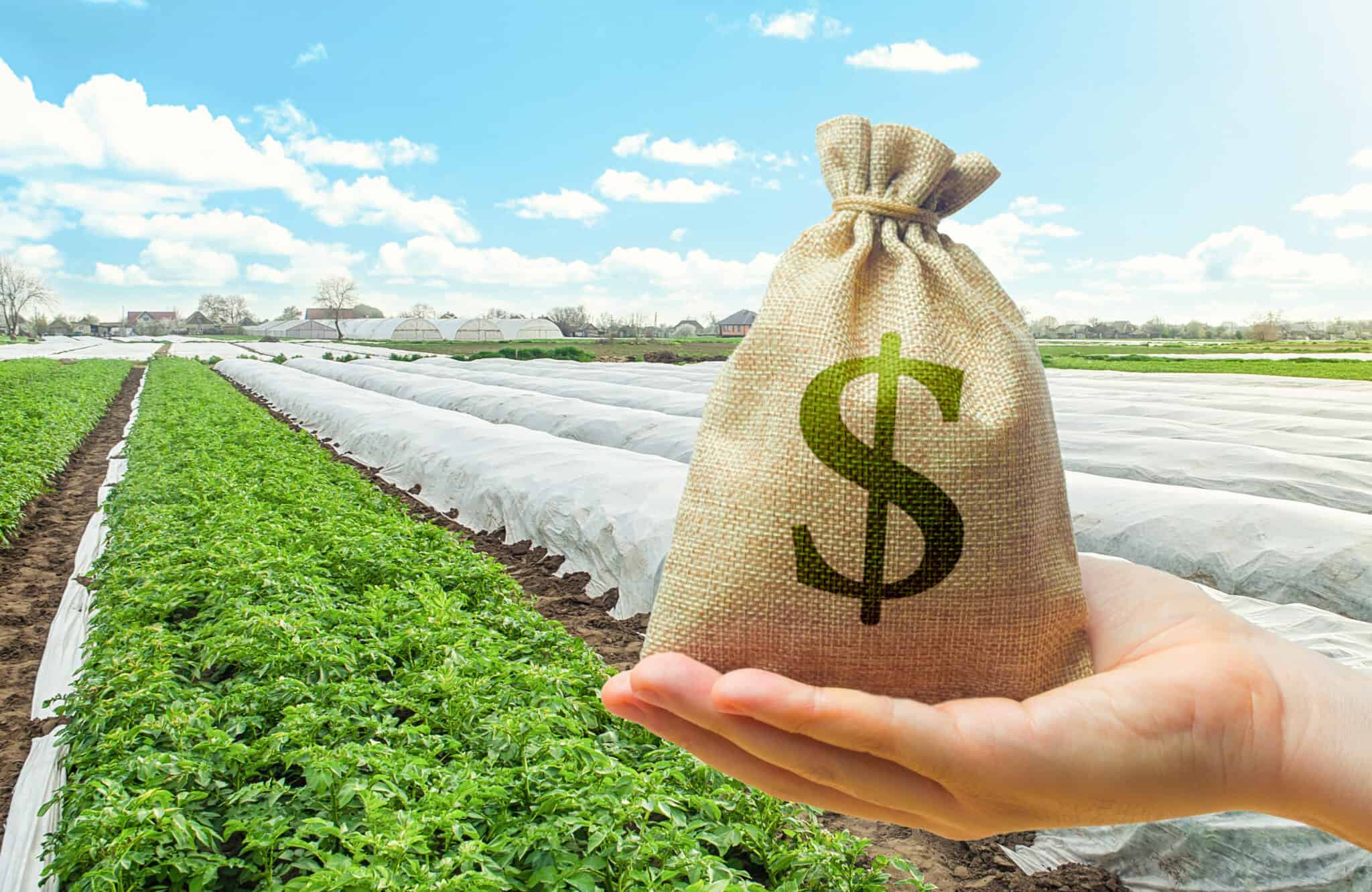 2023 U.S. Farm Income: A Shift from Peak Levels - Triton News