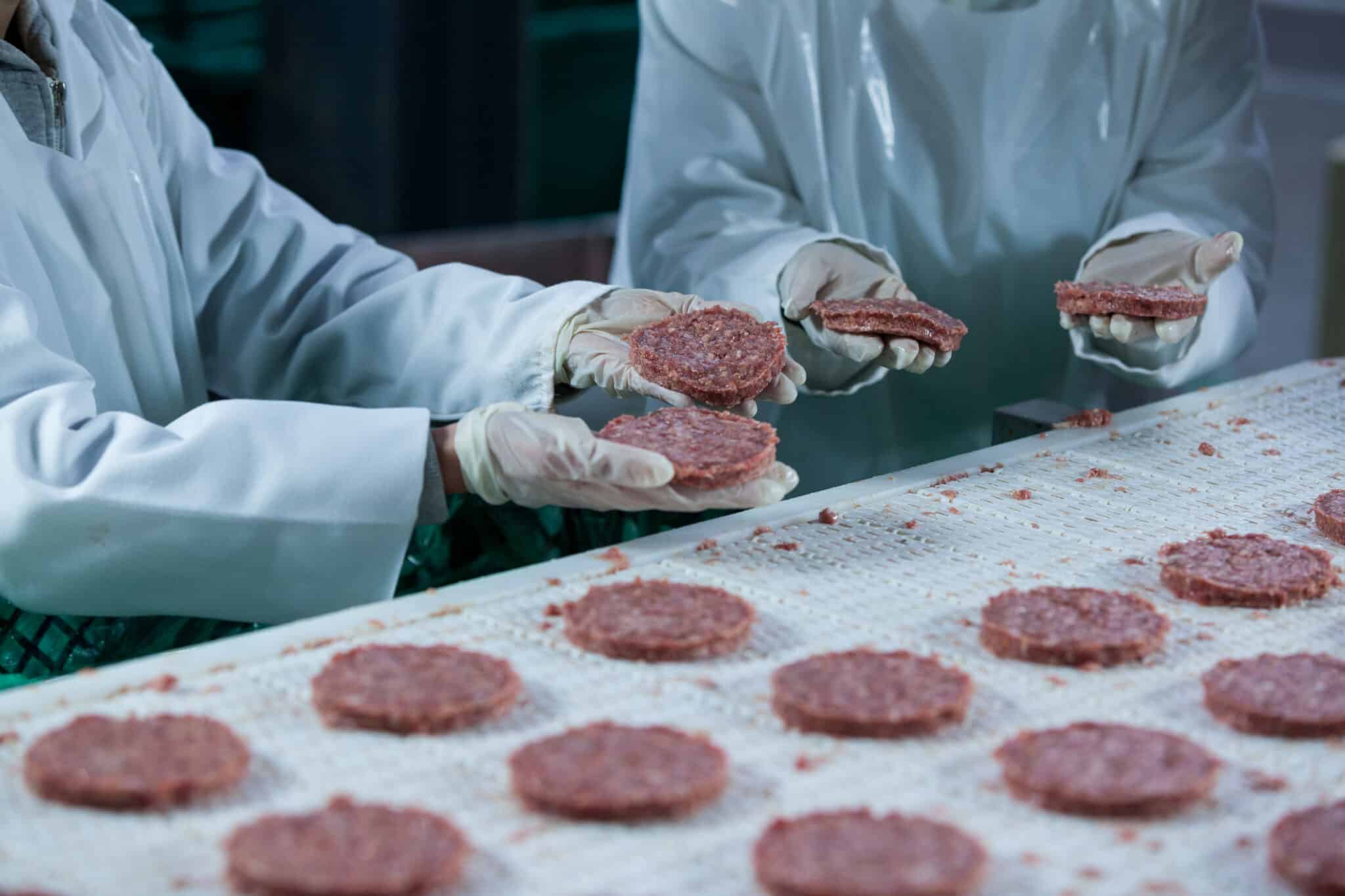 European Union Divided as Italy Leads Ban on Lab-Grown Meat to Protect ...