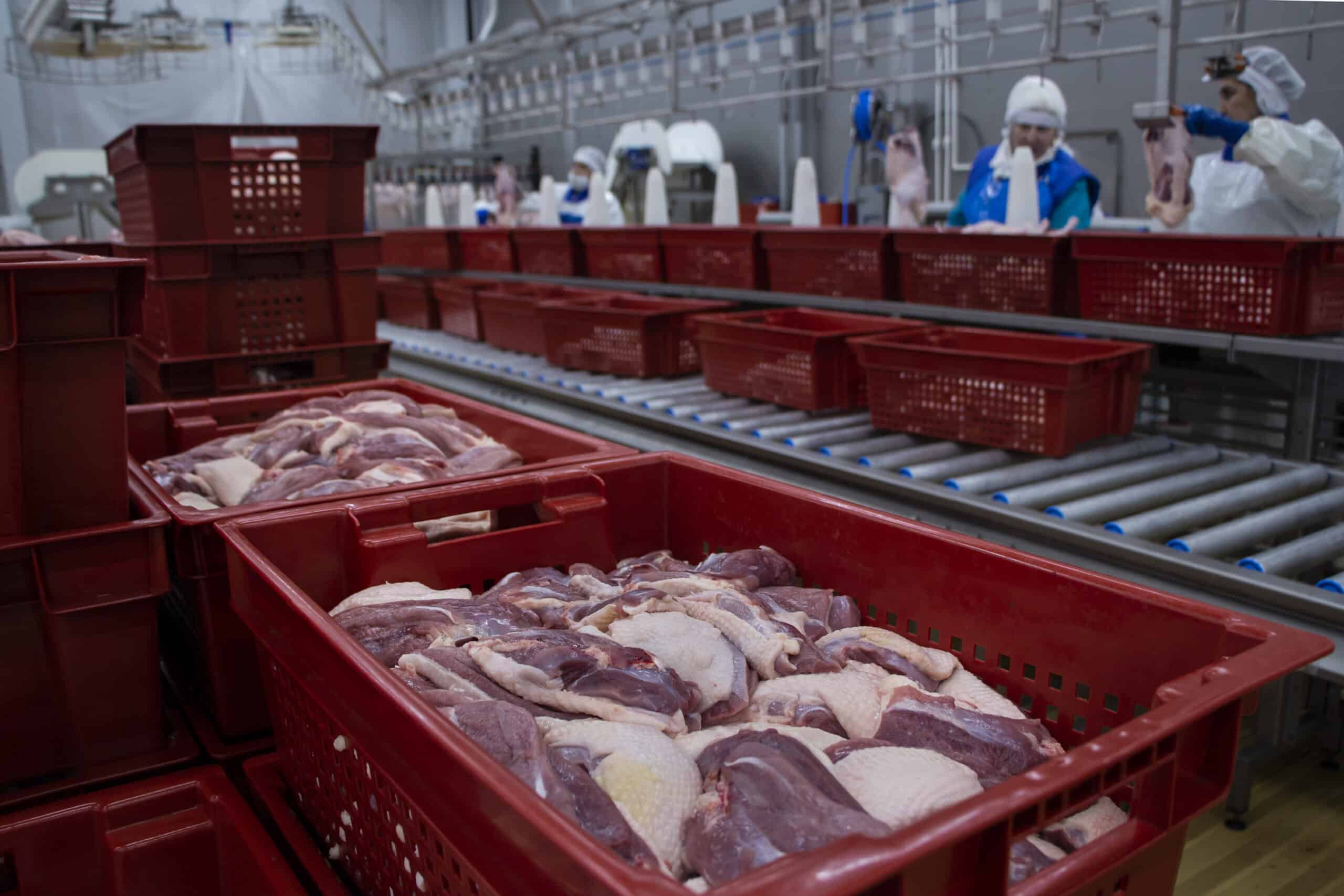 Housing Challenges for Meatpacking Workers: Industry Takes Action ...