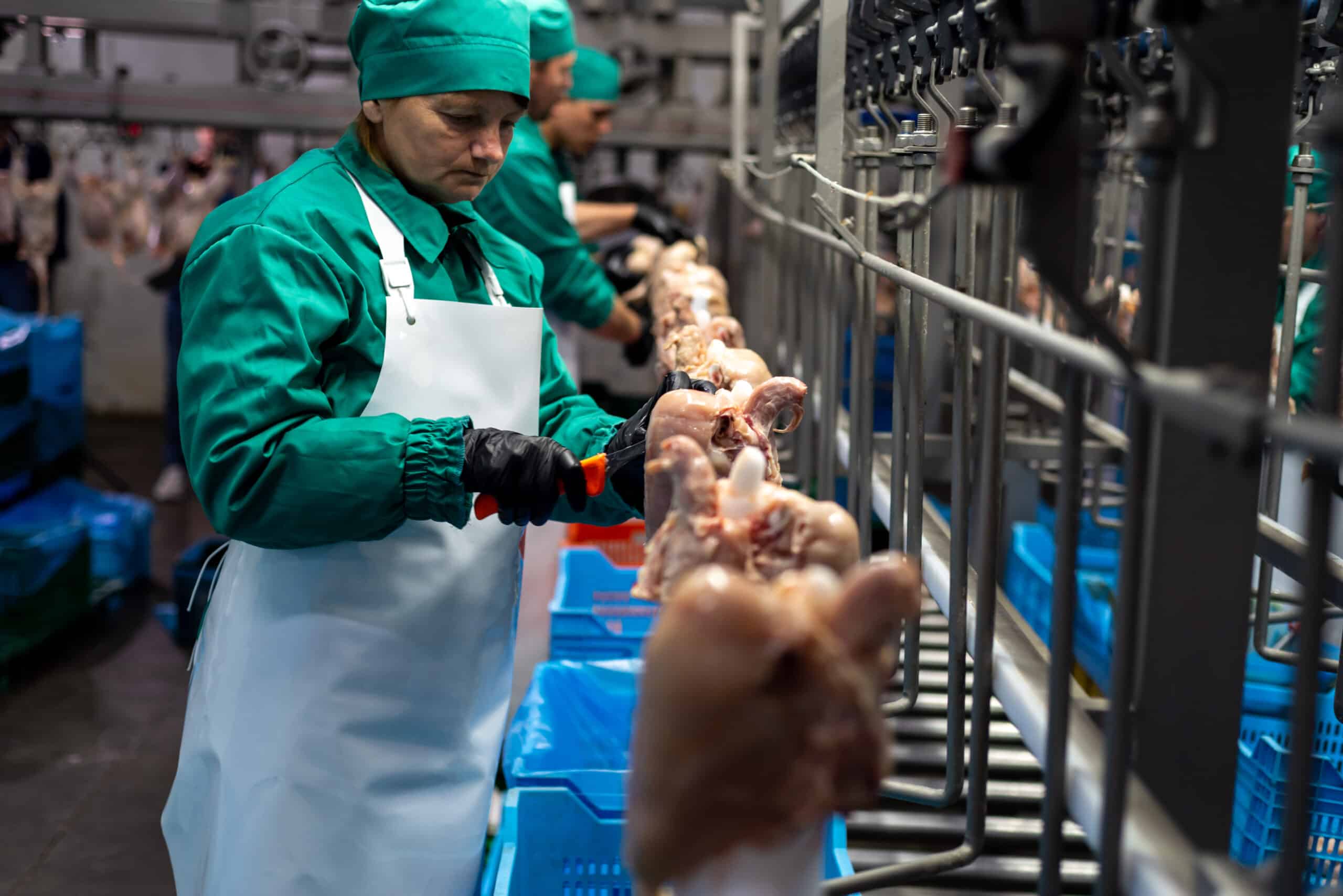 Livestock & Meat Processing News