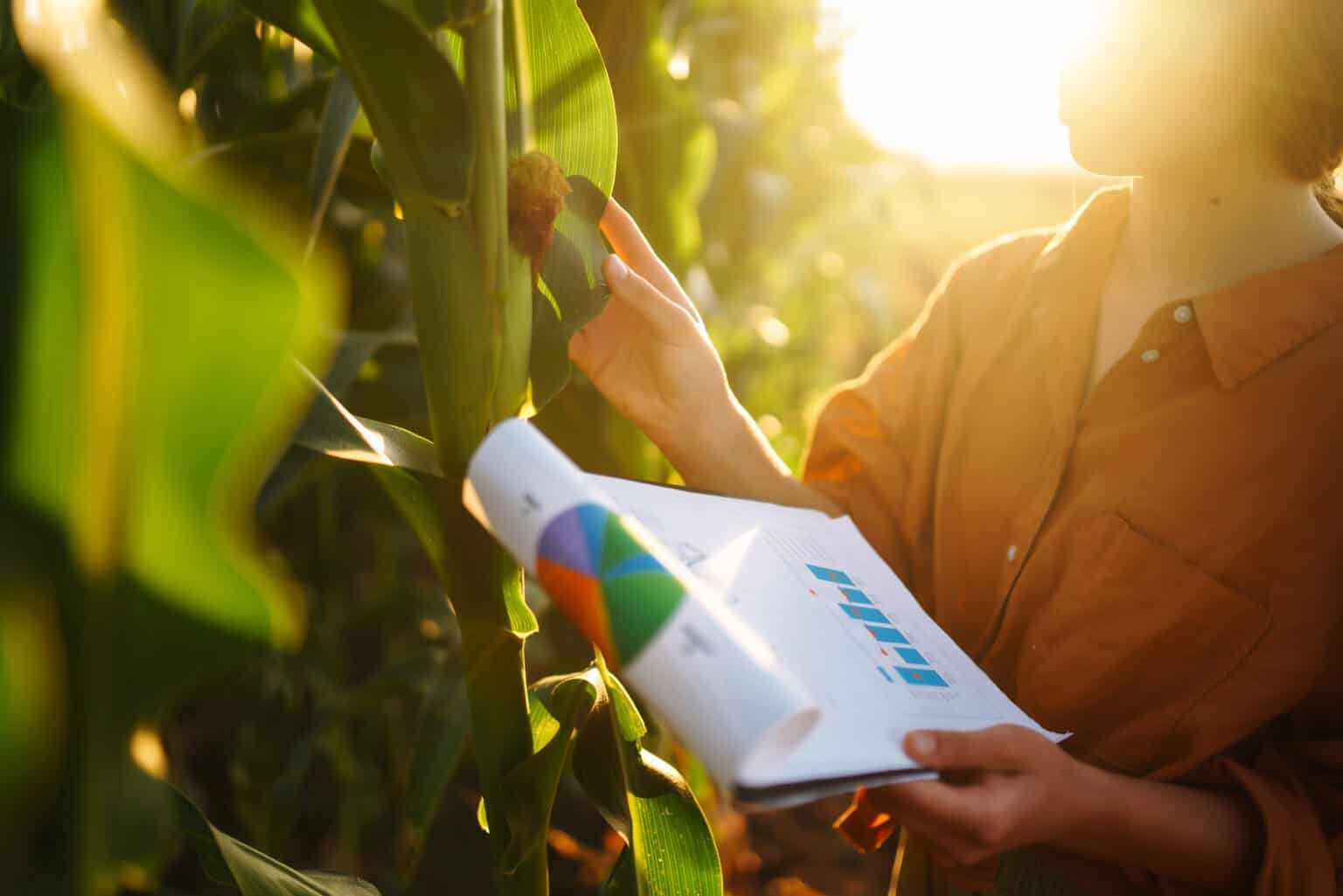 EU's Agricultural Strategy Report: Balancing Sustainability and Profit - Triton News