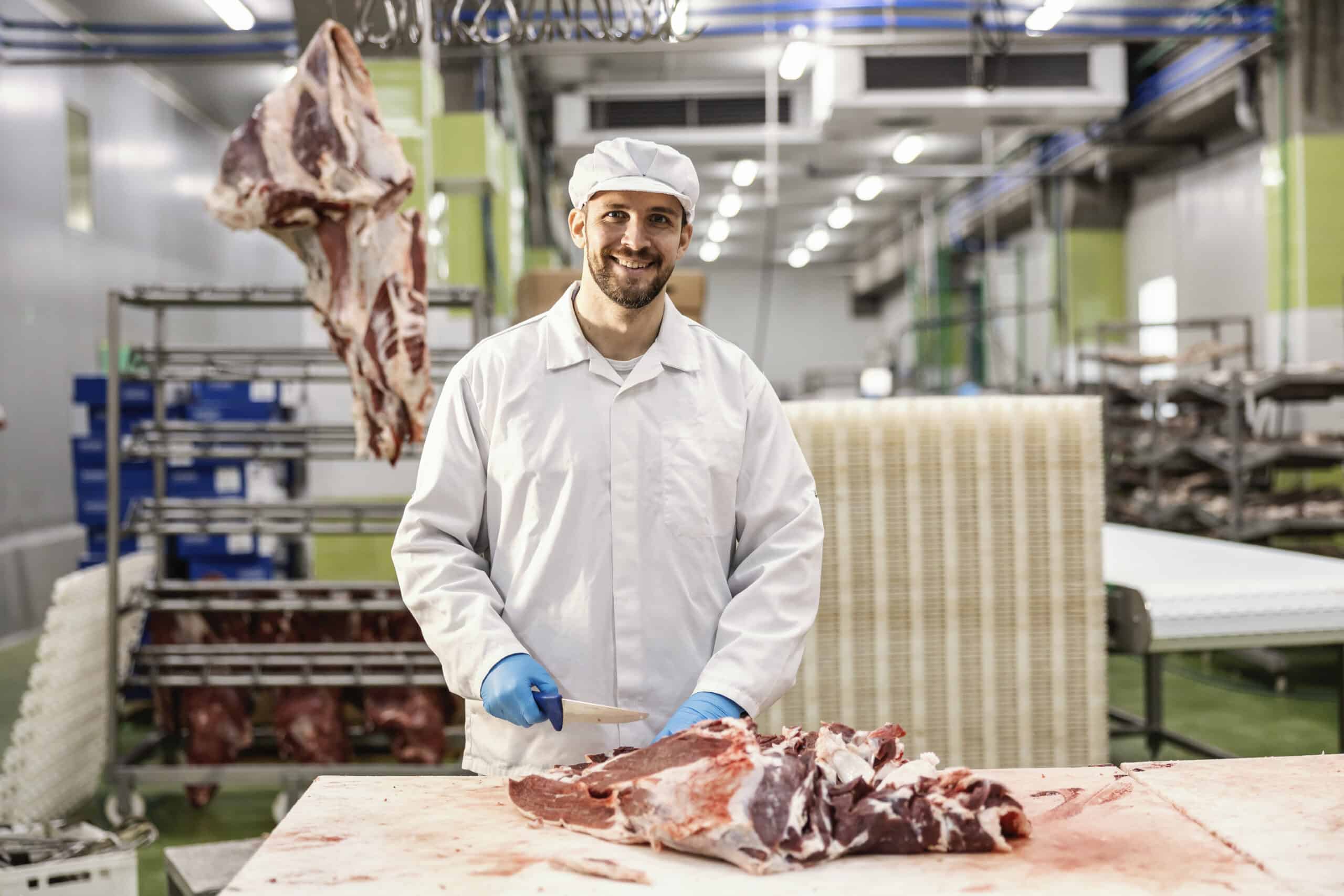 Exploring Dairy Cattle's Meat Quality with MSA - Triton News