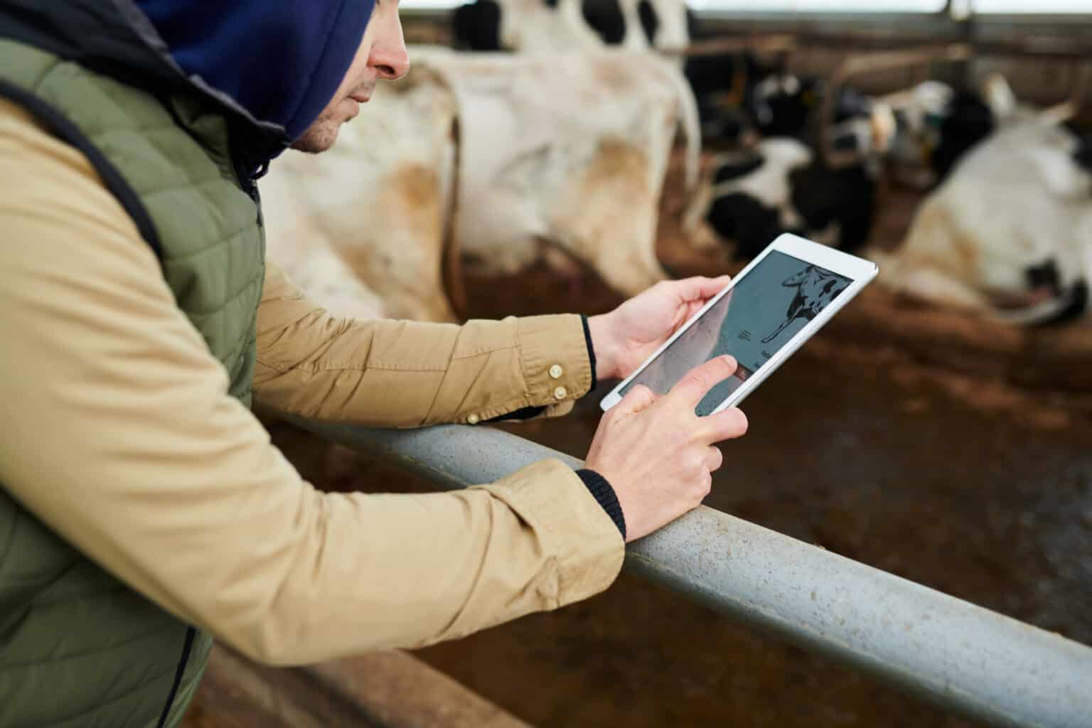 Innovations Paving the Way for Value-Based Marketing in Cattle Industry ...