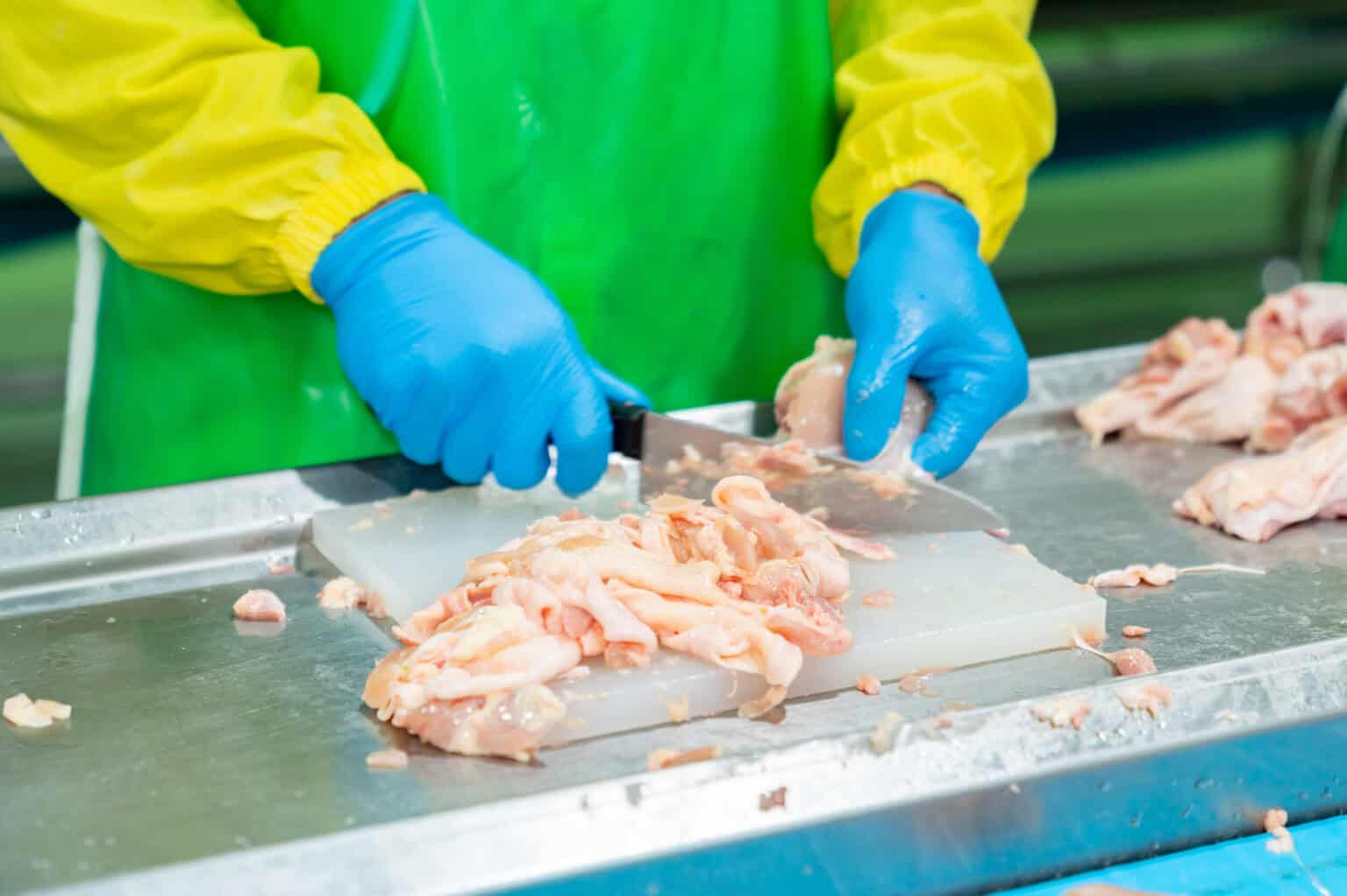 Reducing Waste and Increasing Efficiency in Animal Protein Processing ...